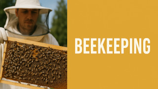 Homesteading YouTube Videos