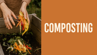 Homesteading YouTube Videos